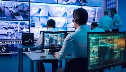 Security Services - Deltcorp Industries